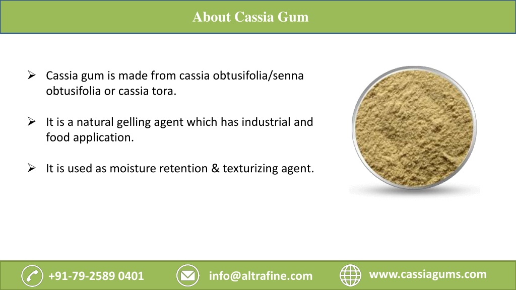 PPT - Important Information on Cassia Gum Powder, Cassia Splits and ...