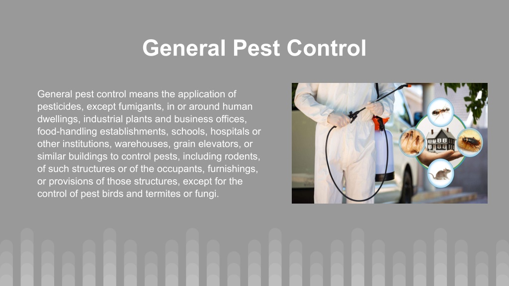 PPT - Pest Control Professionals - Pest Control Expert PowerPoint ...