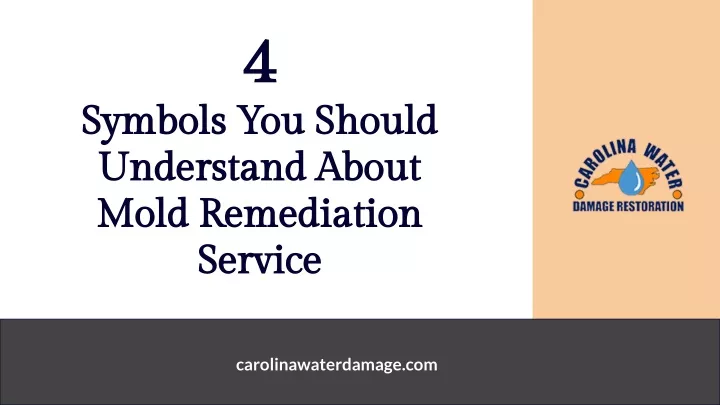 PPT - 4 Symbols You Should Understand About Mold Remediation Service ...