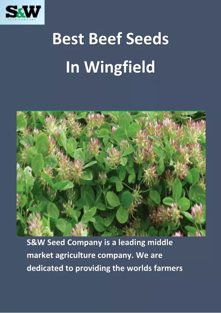 PPT - Best Beef Seeds PowerPoint Presentation, free download - ID:11303872
