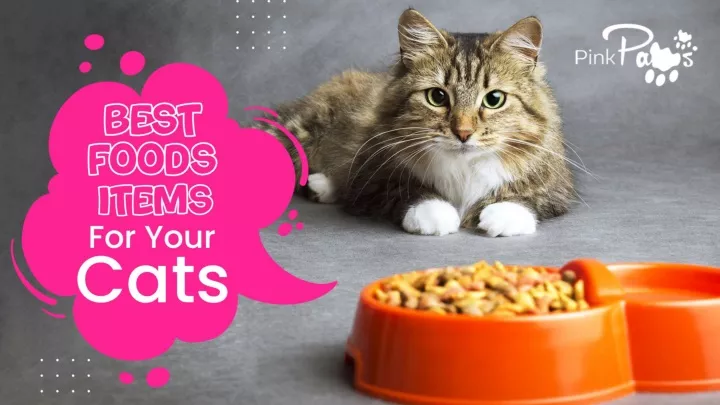 PPT - Best Foods Items For Your Cats PowerPoint Presentation, free ...