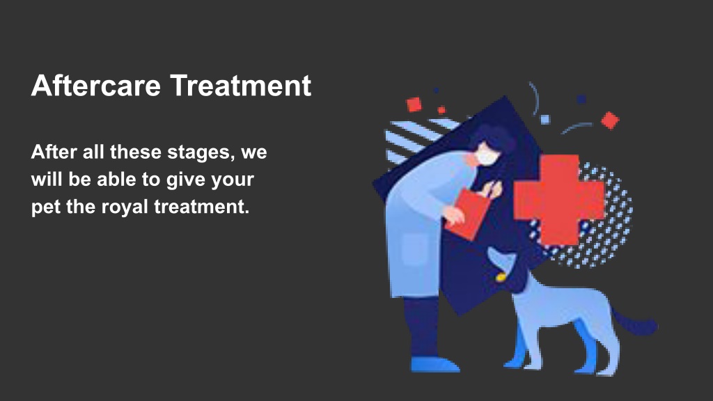 PPT - Veterinary Surgical Center Harrisburg PA PowerPoint Presentation ...