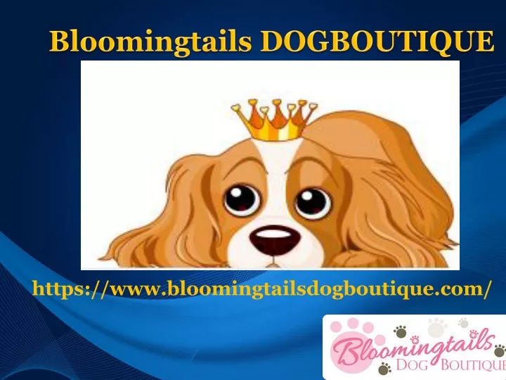 PPT - Dog Harness Leash PowerPoint Presentation, free download - ID:11313828