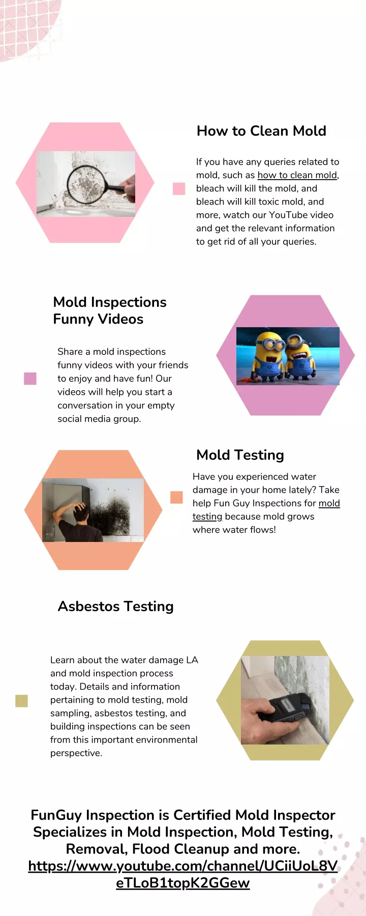 PPT - How to Clean Mold PowerPoint Presentation, free download - ID ...