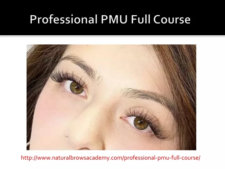 PPT - Professional PMU Full Course PPT.3 PowerPoint Presentation, free ...