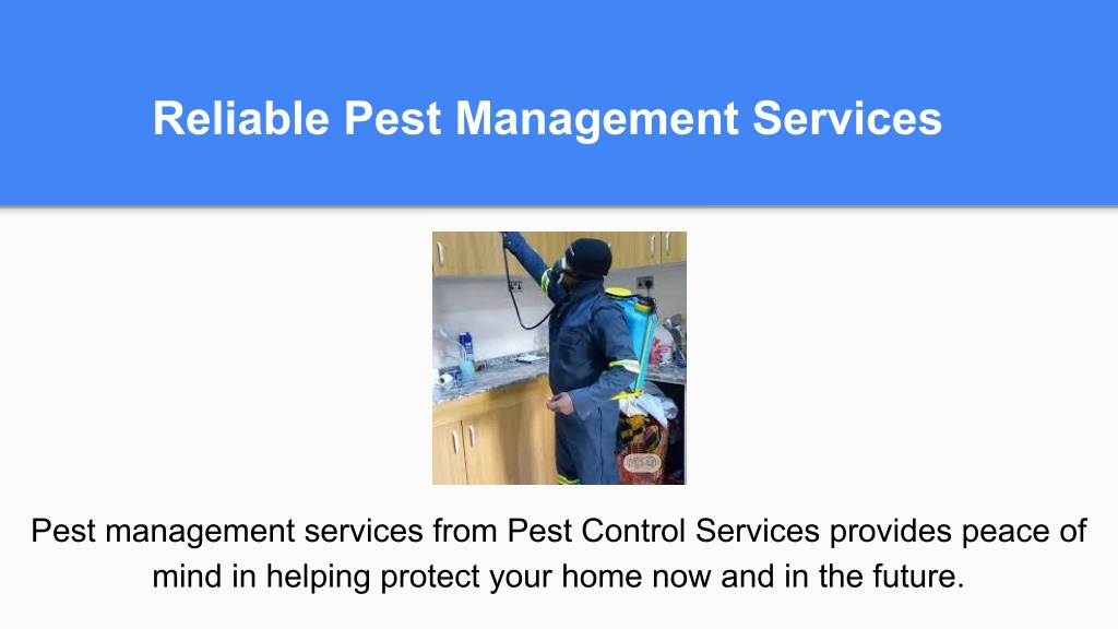 PPT - Pest Control Professionals - Pest Control Expert PowerPoint ...