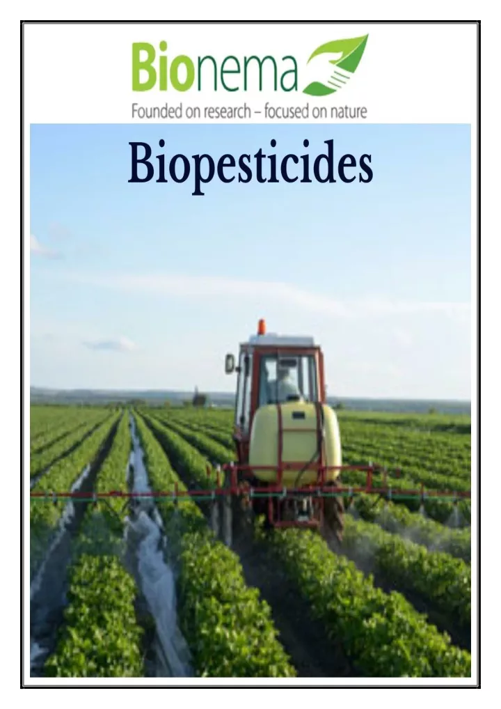 PPT - Biopesticides in Sustainable Agriculture PowerPoint Presentation ...