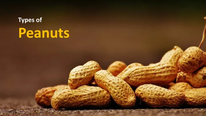 PPT - Types of Peanuts PowerPoint Presentation, free download - ID:11349604