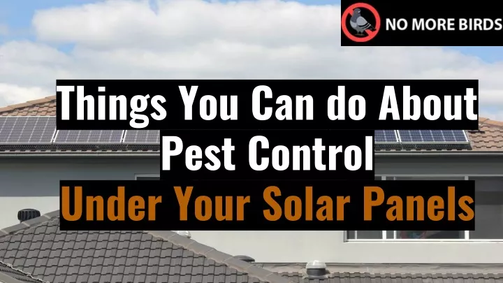 PPT - Things You Can do About Pest Control Under Your Solar Panels ...