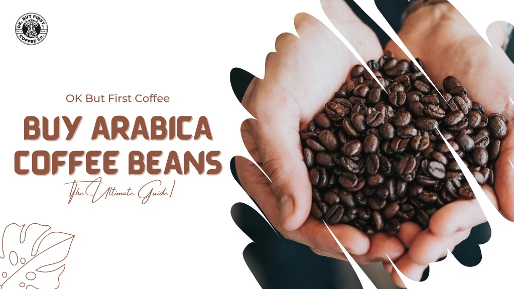 PPT - How To Buy Arabica Coffee Beans Online PowerPoint Presentation ...