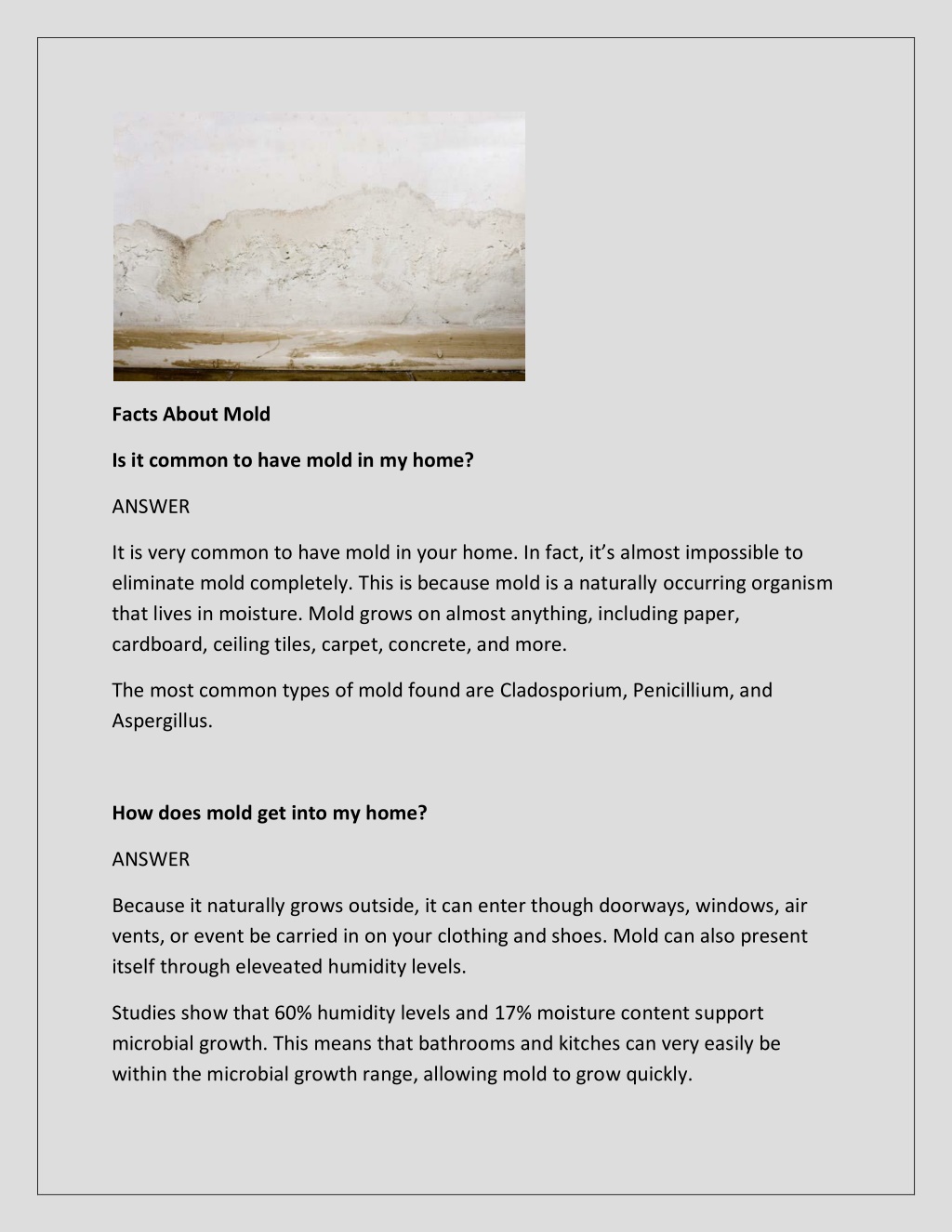 PPT - The Ultimate Guide to Mold Remediation Caused By Water Damage ...