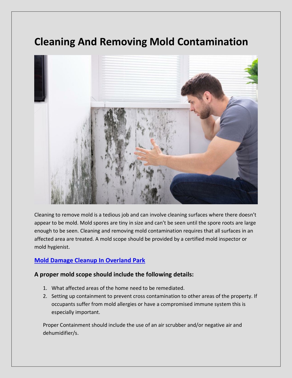 PPT - Cleaning And Removing Mold Contamination PowerPoint Presentation ...
