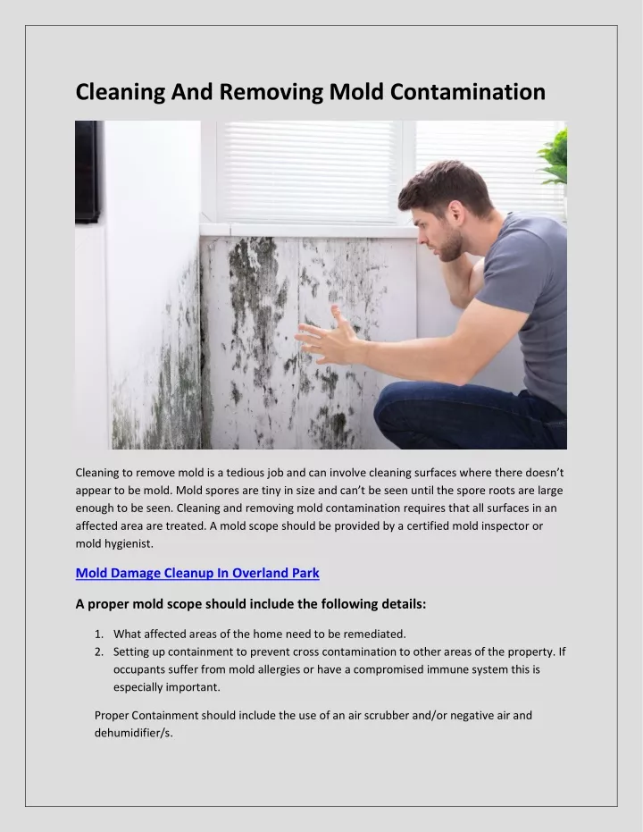 PPT - Cleaning And Removing Mold Contamination PowerPoint Presentation ...