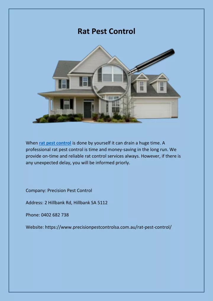 PPT - Rat Pest Control PowerPoint Presentation, free download - ID:11391741