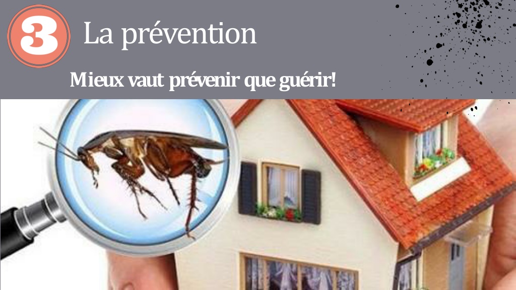 PPT - Exterminateur St Jerome PowerPoint Presentation, free download ...