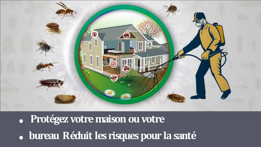 PPT - Exterminateur St Jerome PowerPoint Presentation, free download ...
