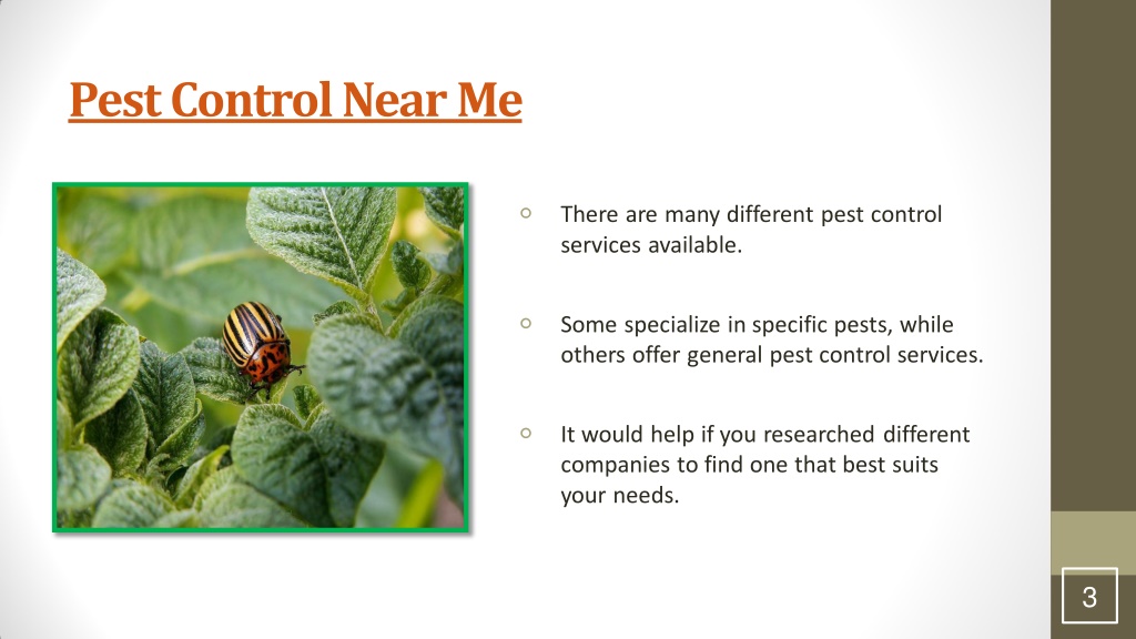 PPT - Pest Control Nampa PowerPoint Presentation, free download - ID ...