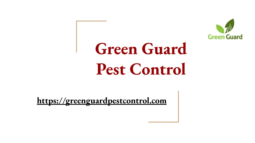 PPT - Pest Control Near Me PowerPoint Presentation, free download - ID ...