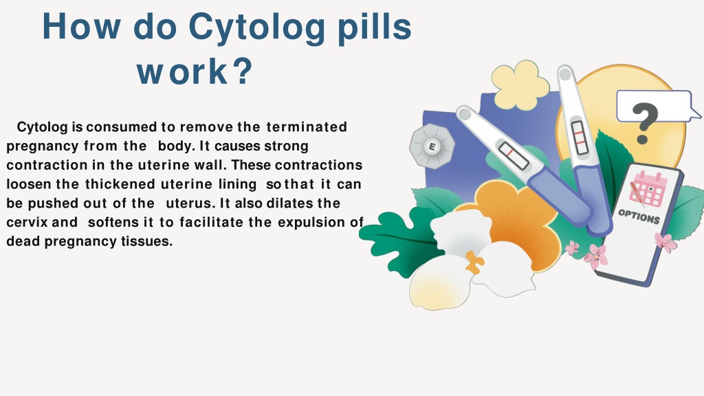 PPT - Order online cytolog pills to plan your abortion PowerPoint ...
