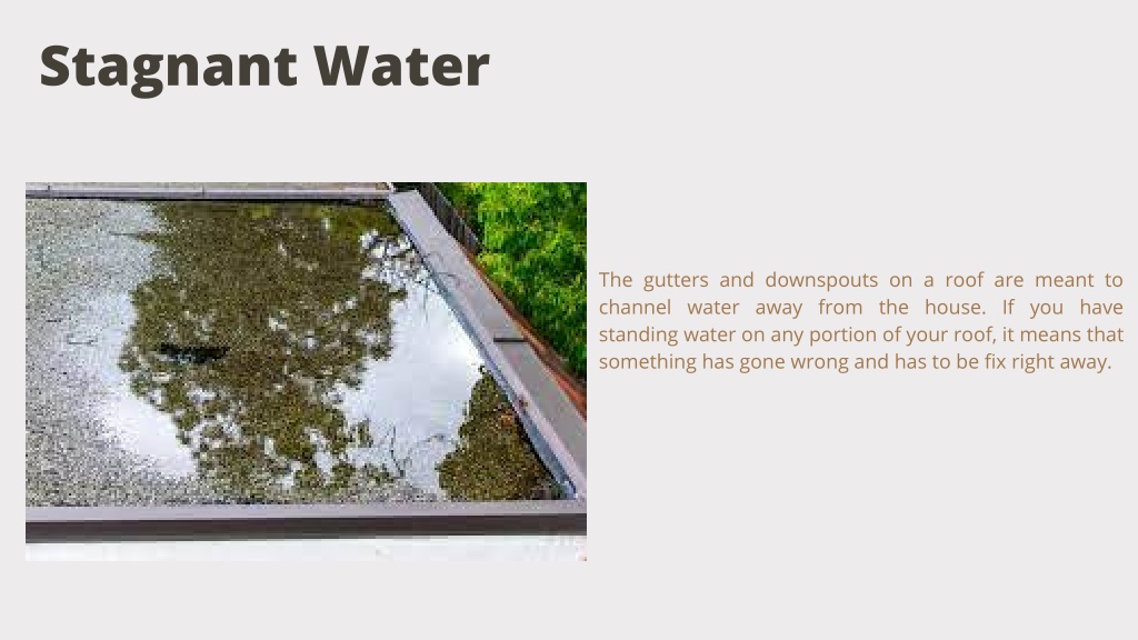 PPT - Common Roofing Problems and Warning Signs to Replace Your Roof ...