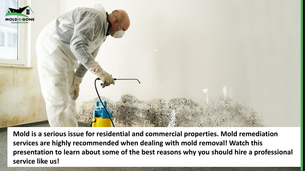 PPT - Reasons to Hire a Professional Mold Remediation Service ...
