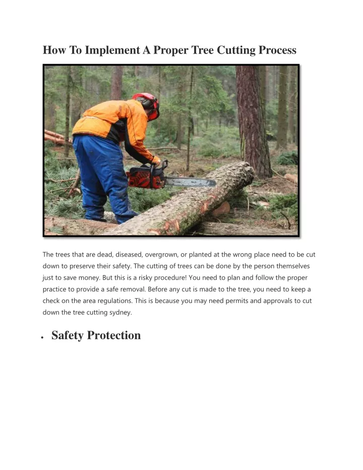 PPT - How To Implement A Proper Tree Cutting Process PowerPoint ...