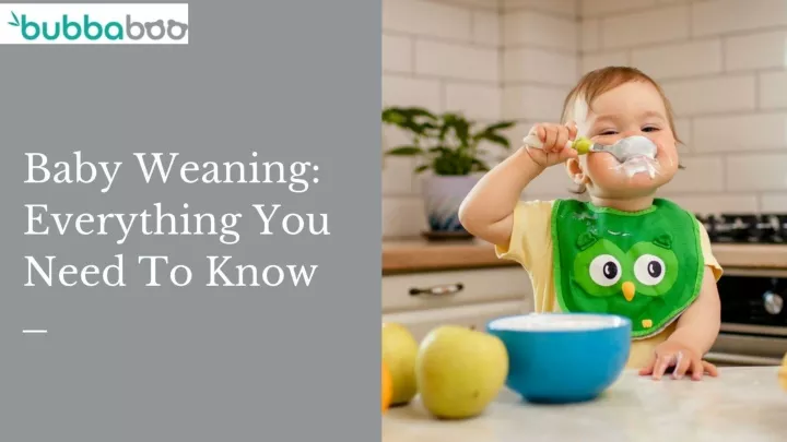 PPT - Baby Weaning Everything You Need To Know PowerPoint Presentation ...