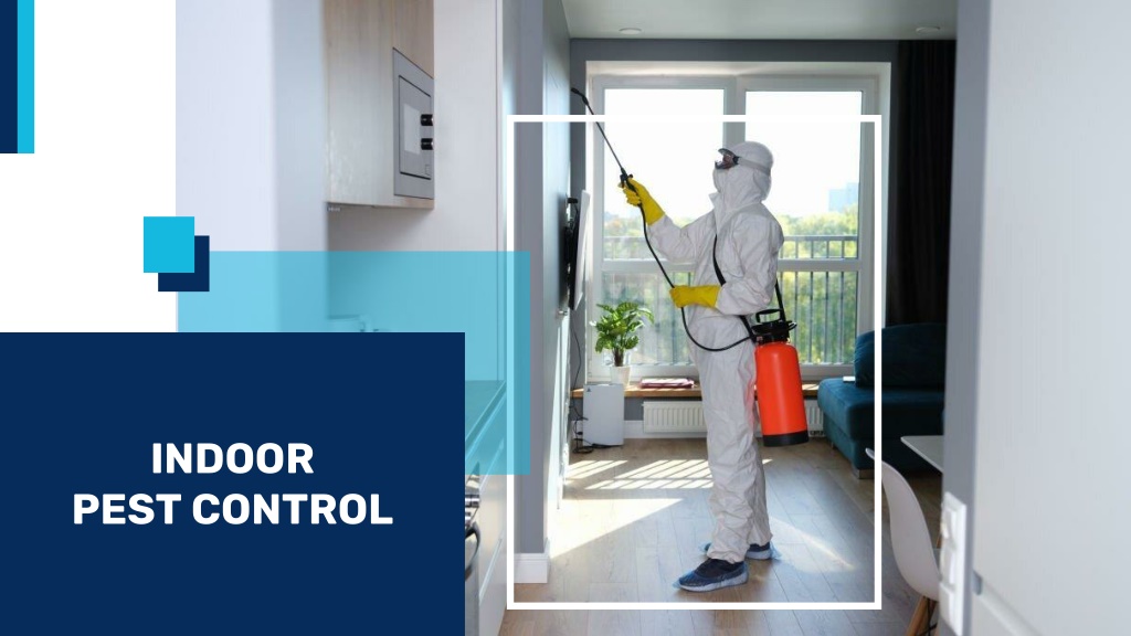 PPT - #1 Residential pest control Services in Sydney PowerPoint ...