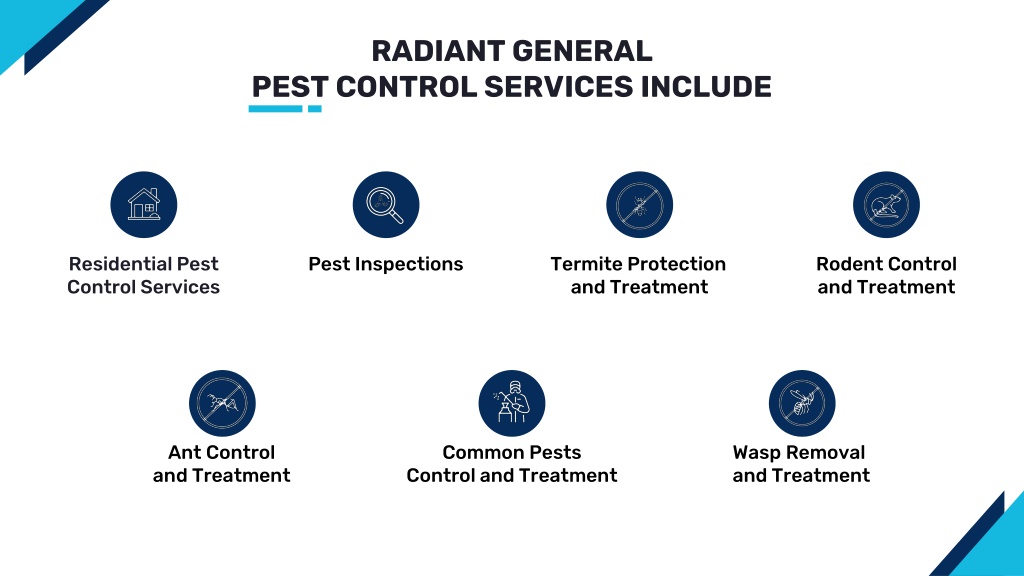 PPT - #1 Residential pest control Services in Sydney PowerPoint ...