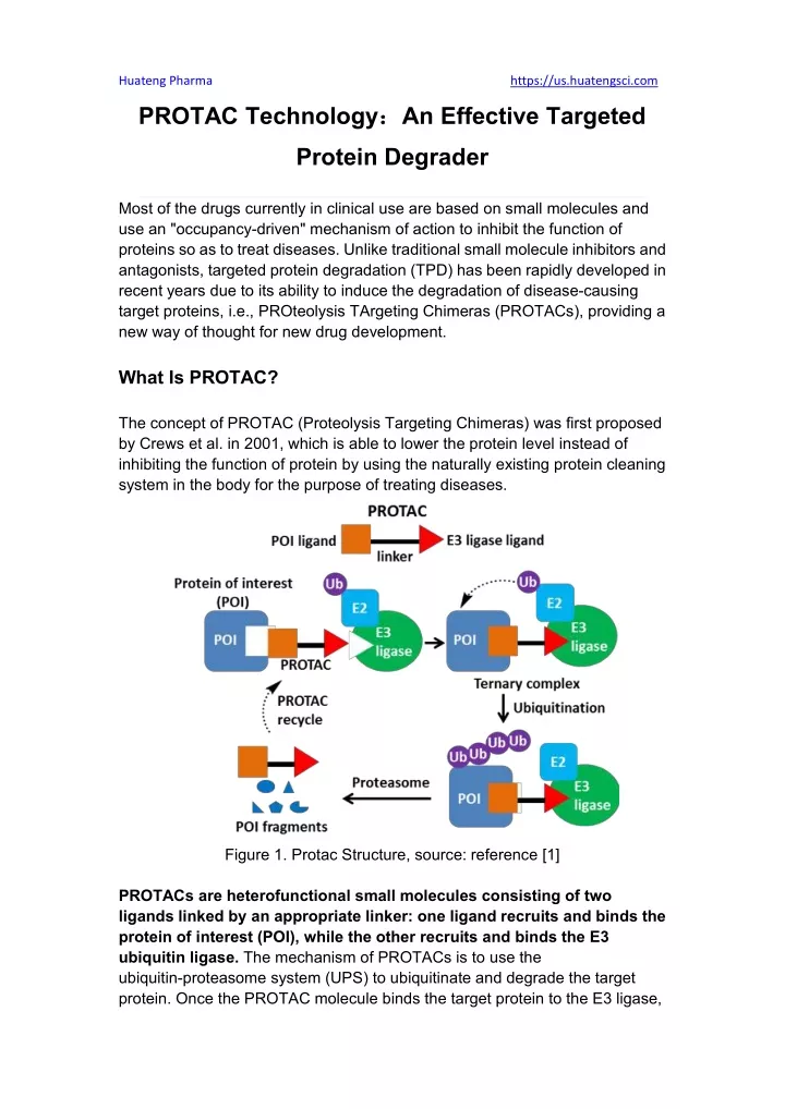 PPT - PROTAC Technology： An Effective Targeted Protein Degrader ...