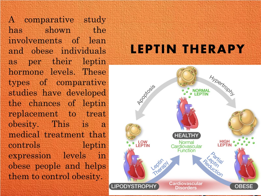 PPT - The overview of Leptin replacement therapy by Tuncay Delibasi ...