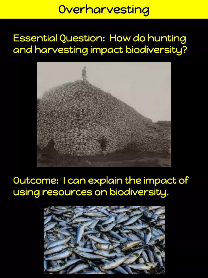 PPT - Q4 Week 7 Overharvesting PowerPoint Presentation, free download ...