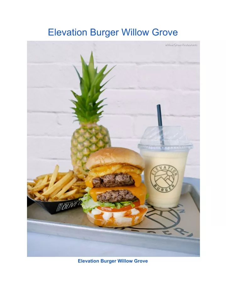 PPT - Elevation Burger Willow Grove PowerPoint Presentation, free ...