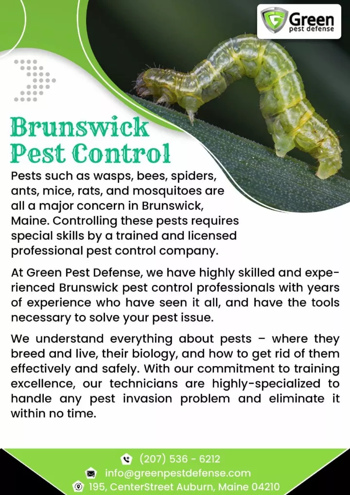 PPT - brunswick pest control PowerPoint Presentation, free download ...