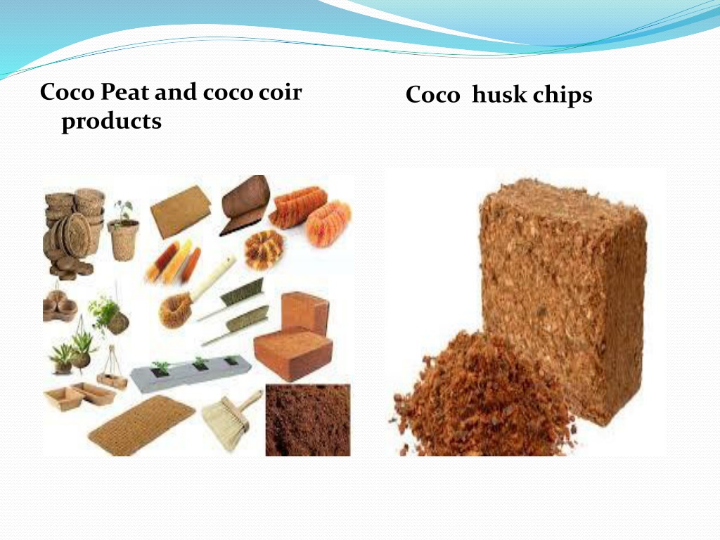 PPT - Best coco product exporters in India-Bhumer exim PowerPoint ...