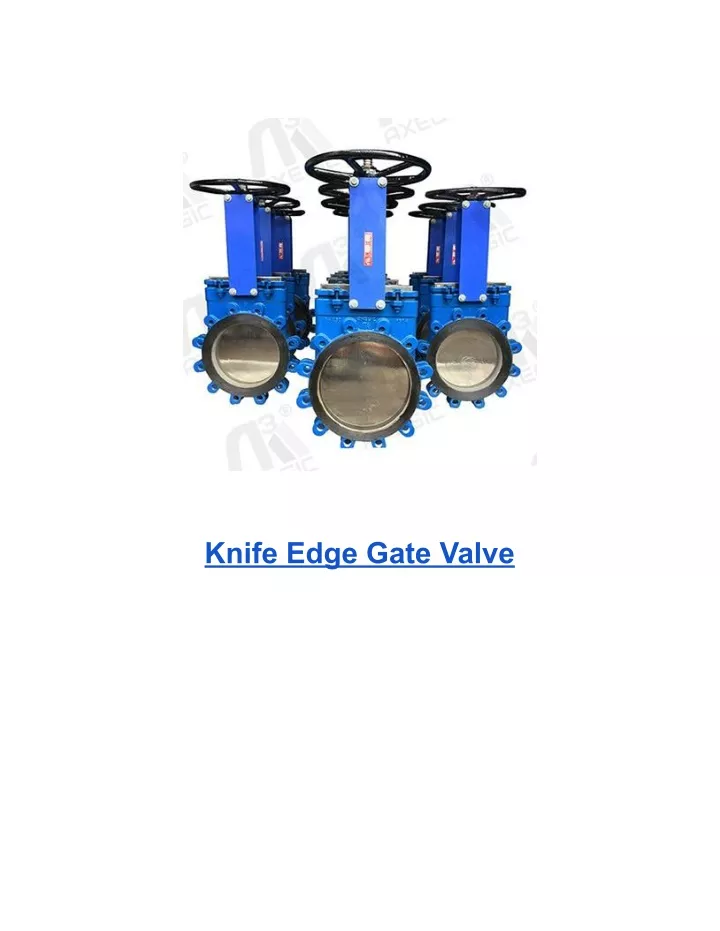 PPT - Knife Edge Gate Valve PowerPoint Presentation, free download - ID ...