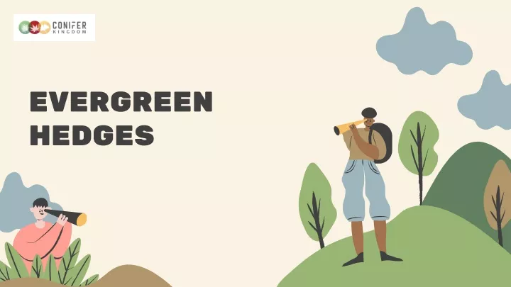 PPT - Hedges that are evergreen and provide your landscaping a lovely ...