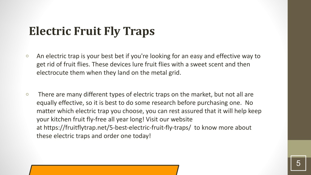 PPT - Best Electric Fruit Fly Traps PowerPoint Presentation, free ...