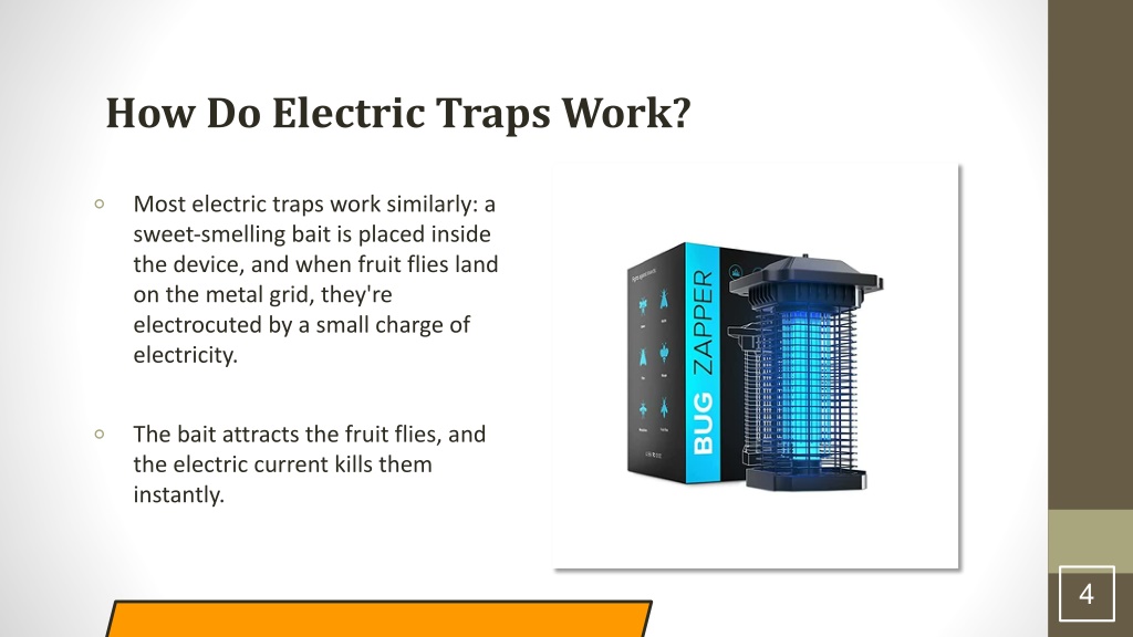 PPT - Best Electric Fruit Fly Traps PowerPoint Presentation, free ...