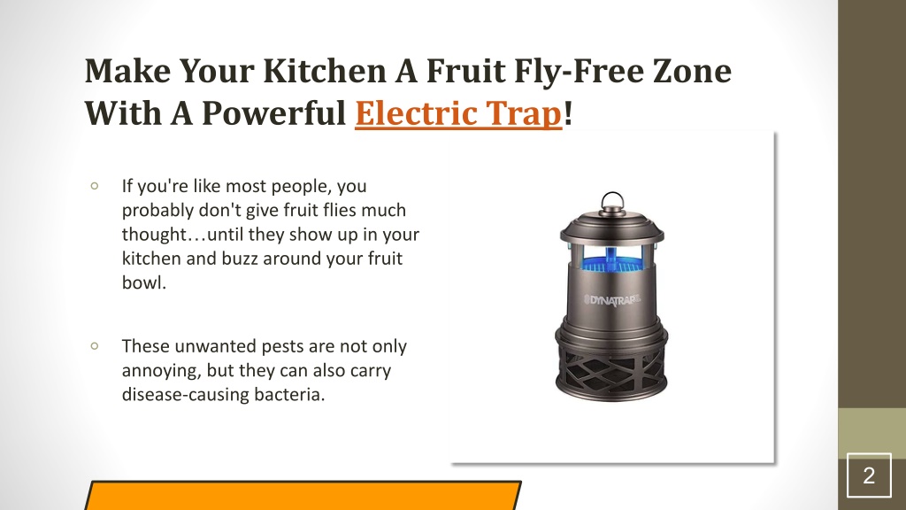 PPT - Best Electric Fruit Fly Traps PowerPoint Presentation, free ...