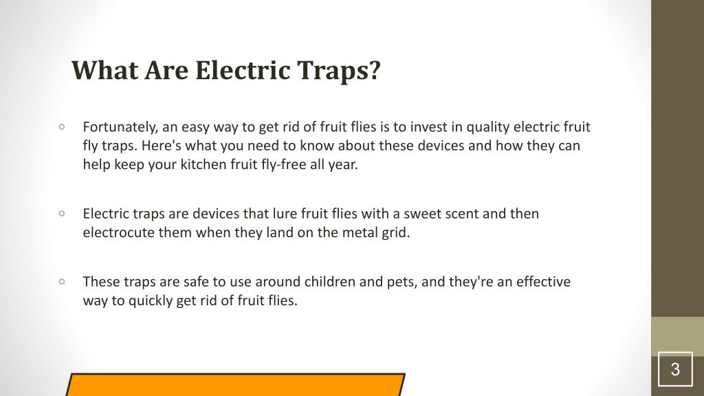 PPT - Best Electric Fruit Fly Traps PowerPoint Presentation, free ...