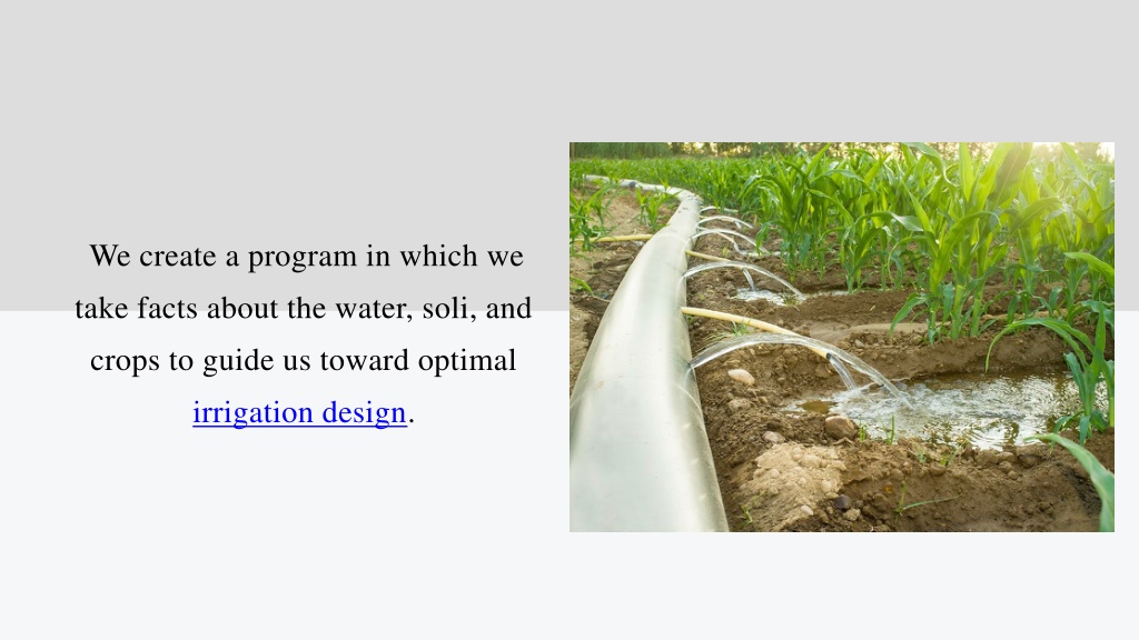 PPT - Find Best and Affordable Irrigation Design in Florida - Irri ...
