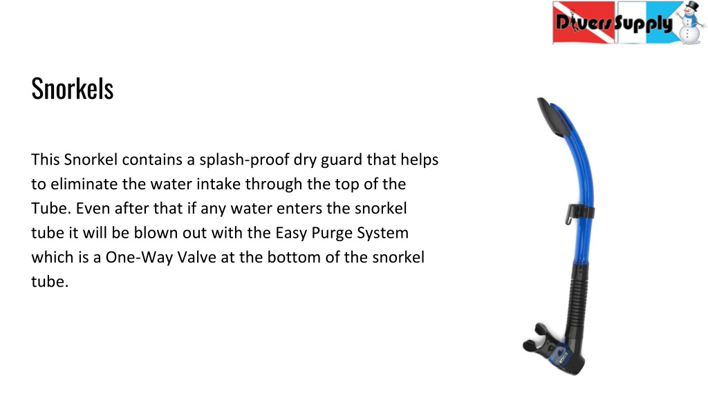 PPT - Snorkeling Gear PowerPoint Presentation, free download - ID:11518040