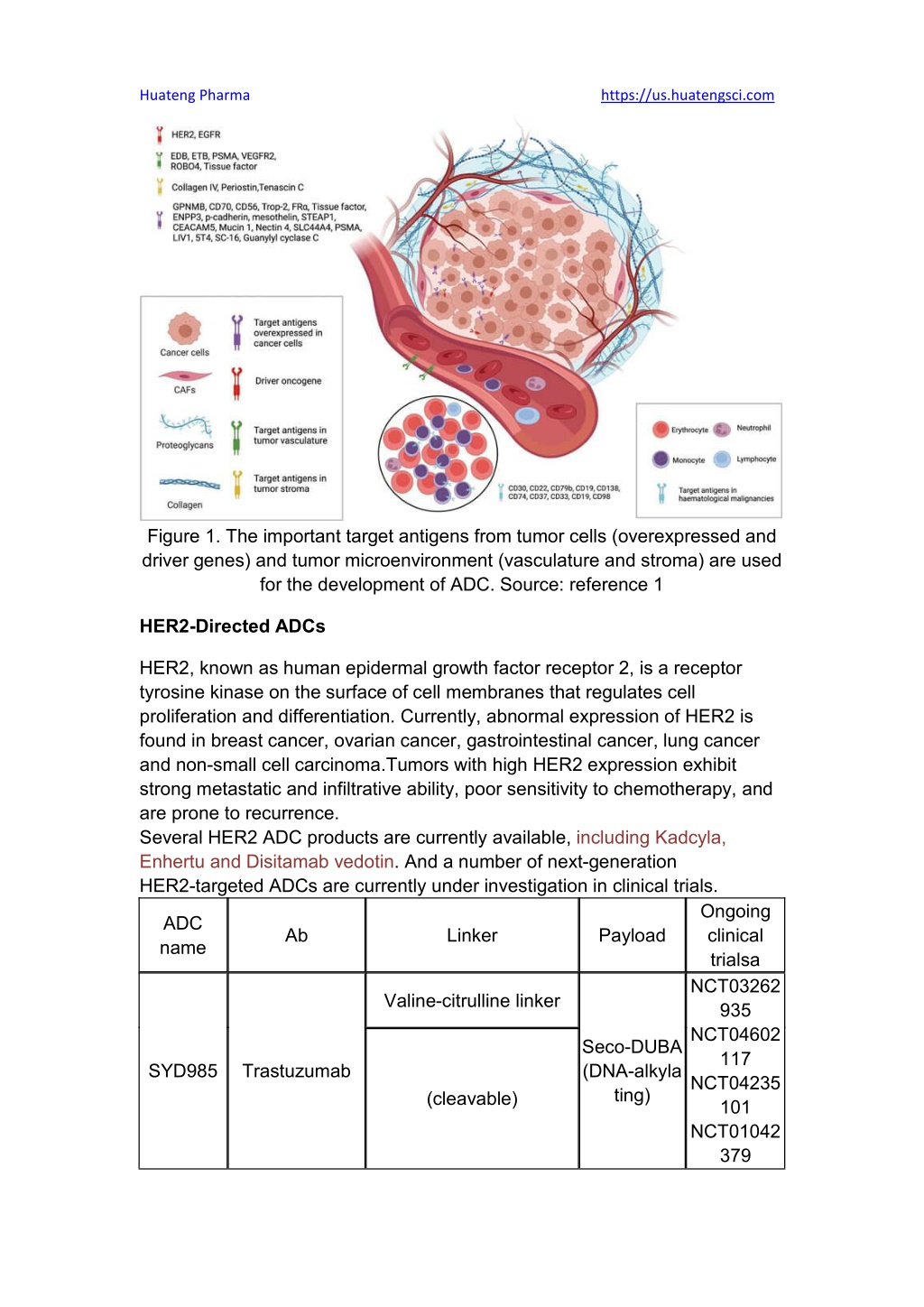 PPT - A Look into Antibody–drug conjugates (ADCs) Targets PowerPoint ...