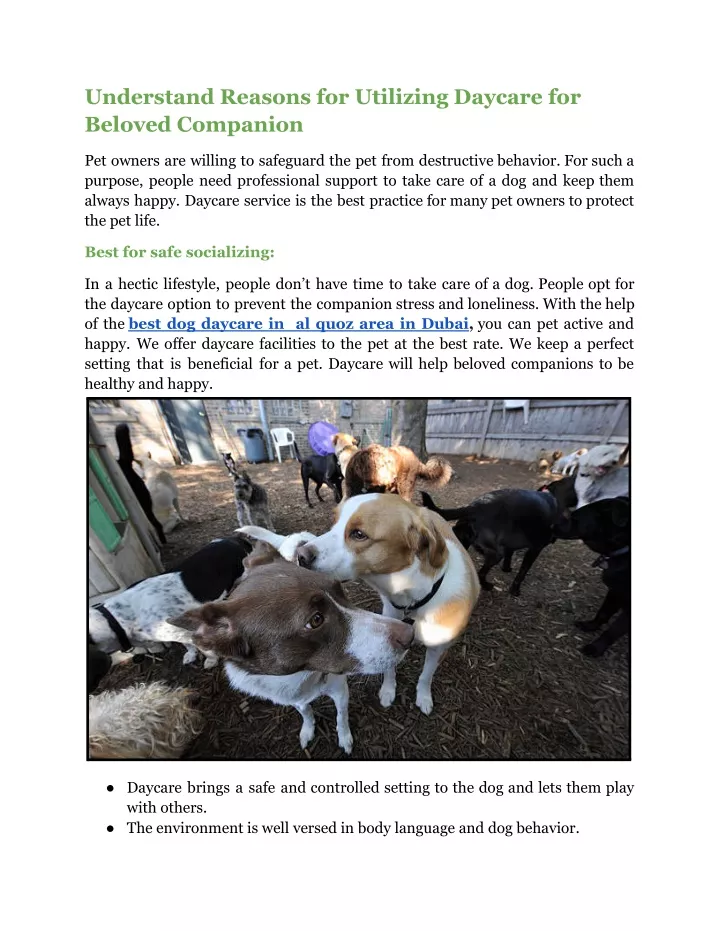 PPT - Understand Reasons for Utilizing Daycare for Beloved Companion ...