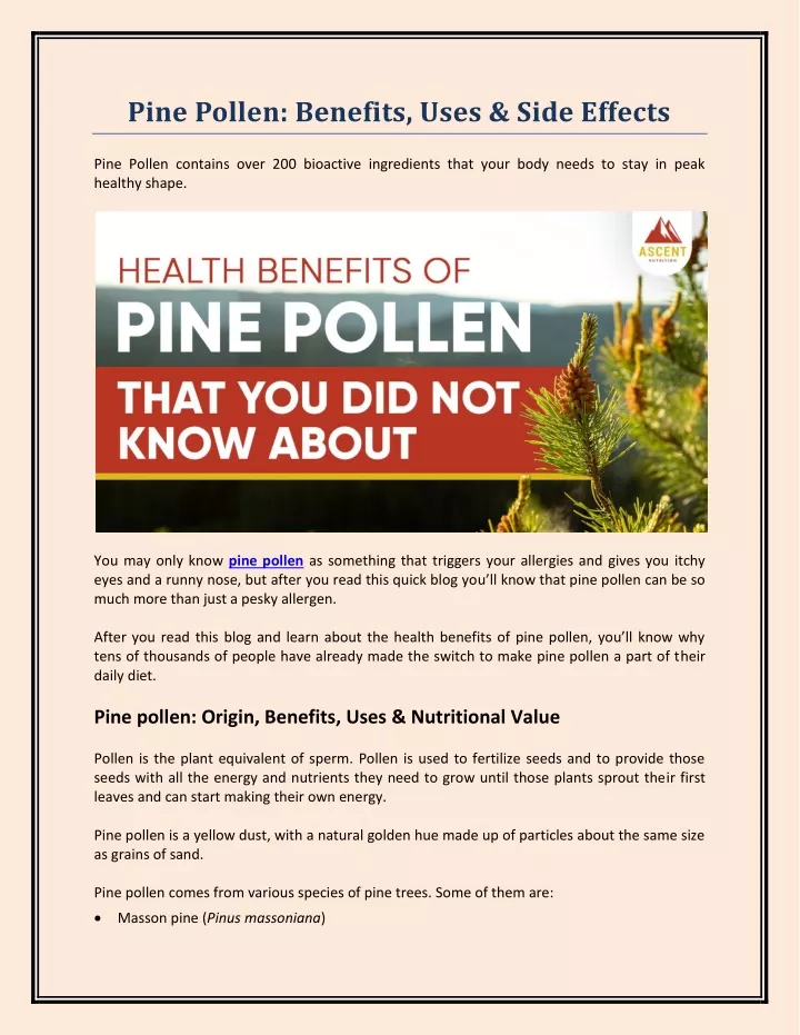 PPT - Pine Pollen - Benefits, Uses & Side Effects PowerPoint ...
