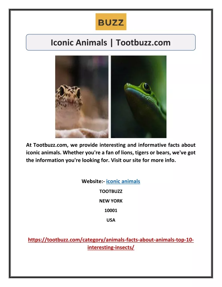PPT - Iconic Animals | Tootbuzz.com PowerPoint Presentation, free ...