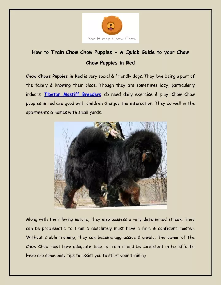 PPT - How to Train Chow Chow Puppies – A Quick Guide to your Chow Chow ...