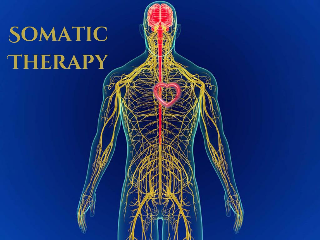 PPT - Trauma, PTSD, and Anxiety Treatment Through Somatic Therapy ...