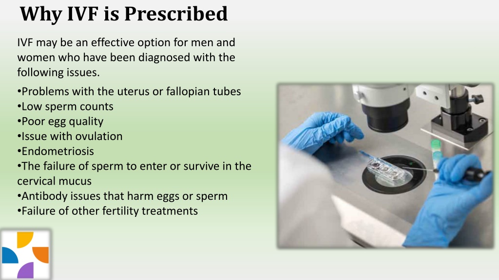PPT - Things to Know About IVF Treatment PowerPoint Presentation, free ...